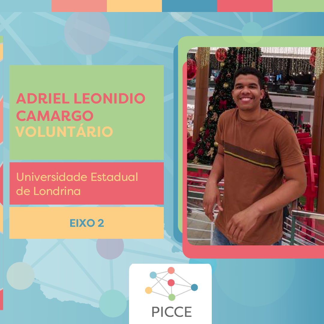 Equipe Eixo 2 – PICCE