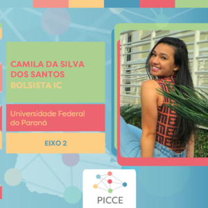 Equipe Eixo 2 – PICCE